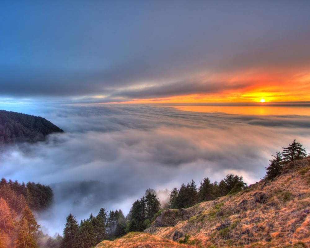 How to Choose A Novel Excerpt Writing Sample