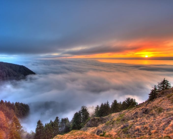 Delicious Writing: Food Writing Examples from Students