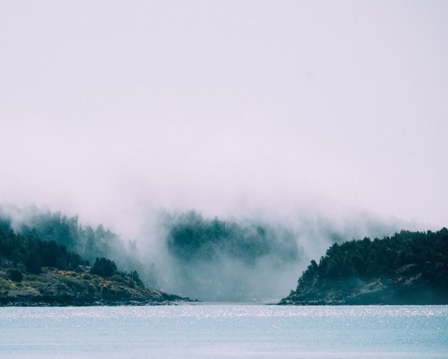 Nature Writing Examples