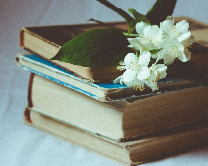 The Big List of Poetry Terms and Examples