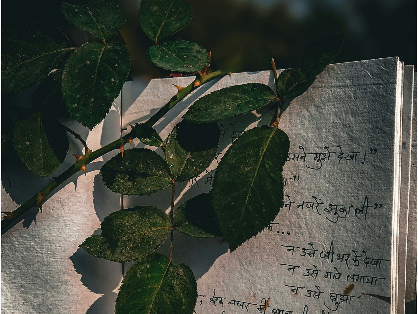 Environmental and Nature Writing Examples: Write the World’s Favorite ...