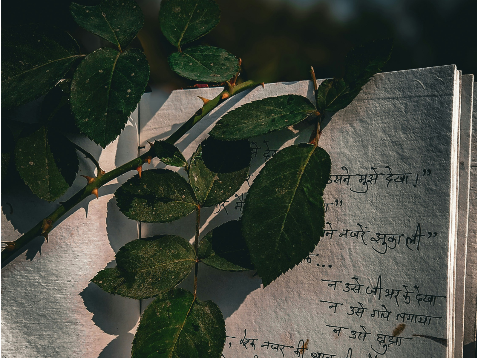 Environmental and Nature Writing Examples: Write the World’s Favorite ...