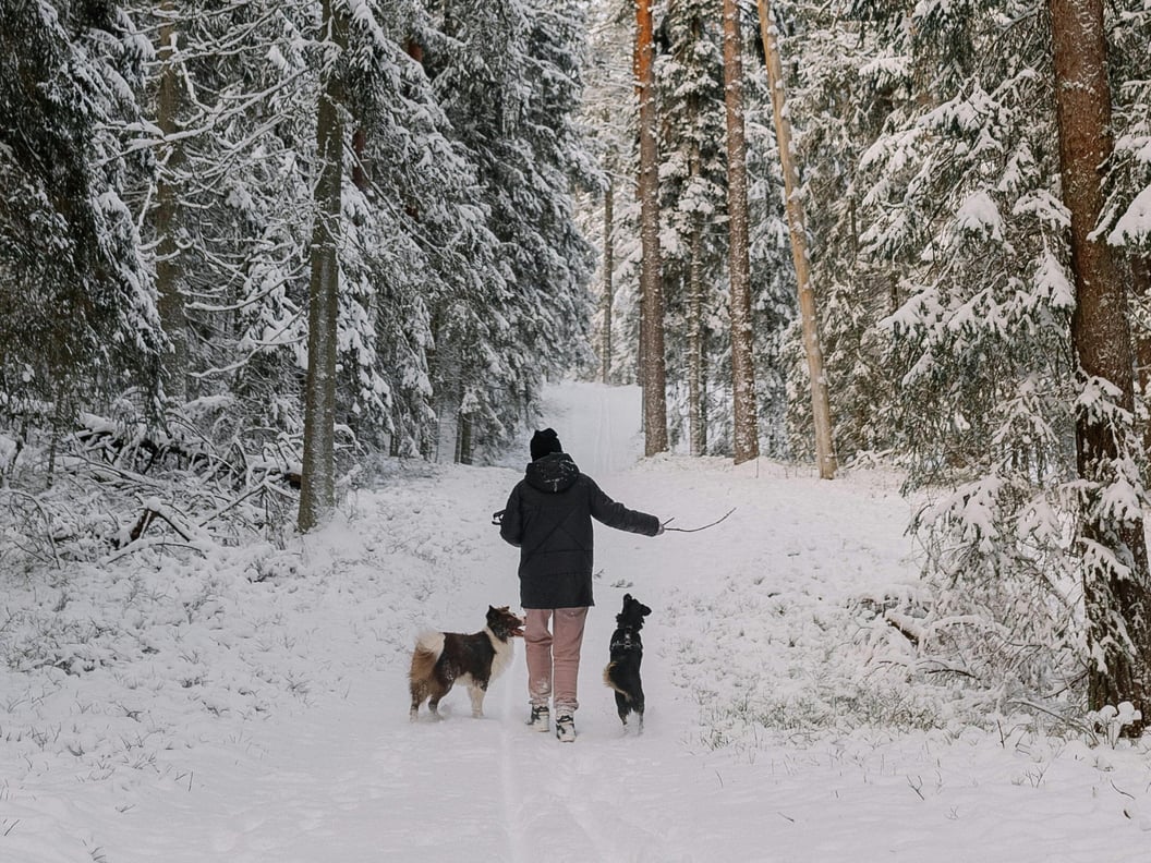 Poetry Examples: Write the World’s Favorite Poems, Written and Spoken