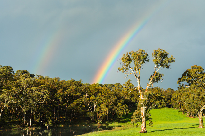 Climate Change Writing Competition Winners Announced 2022